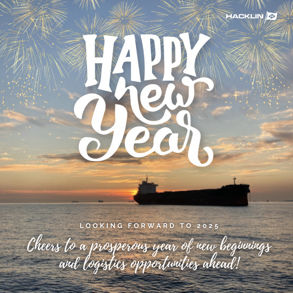 Happy New Year 2025! - Hacklin Hamiko