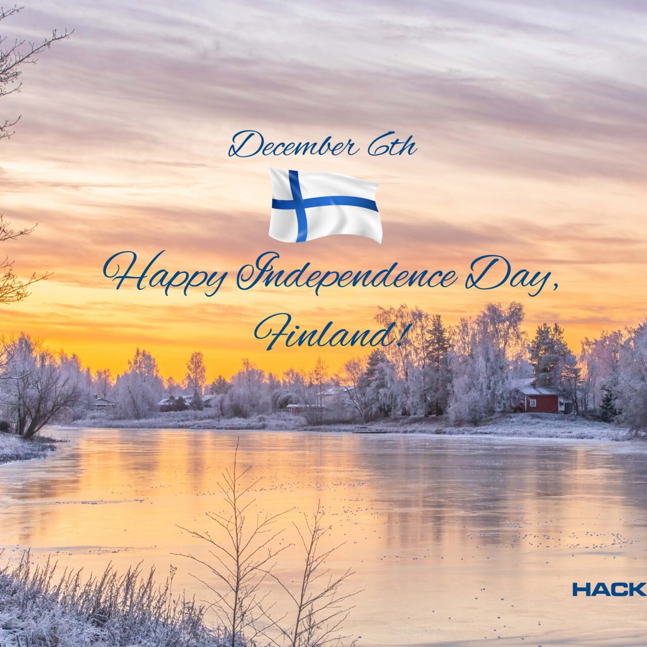 Happy New Year 2025! - Hacklin Hamiko