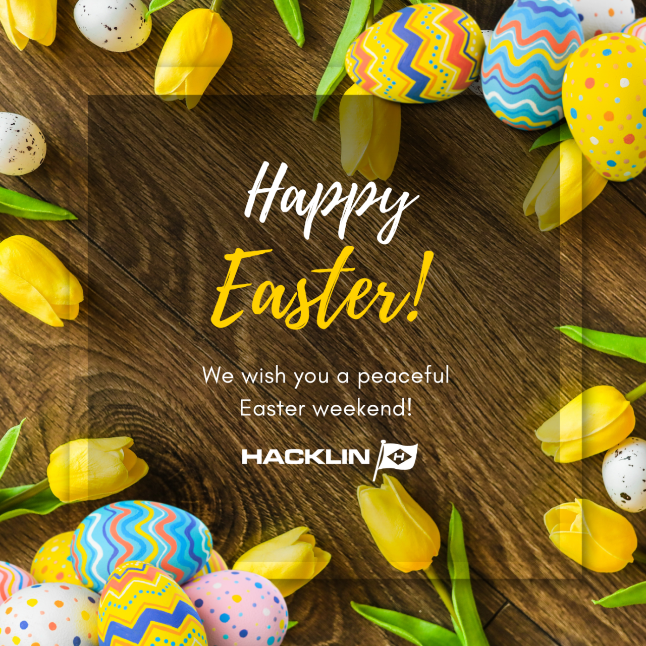 Meet us in Rotterdam at BreakBulk Europe 2025! - Hacklin Hamiko