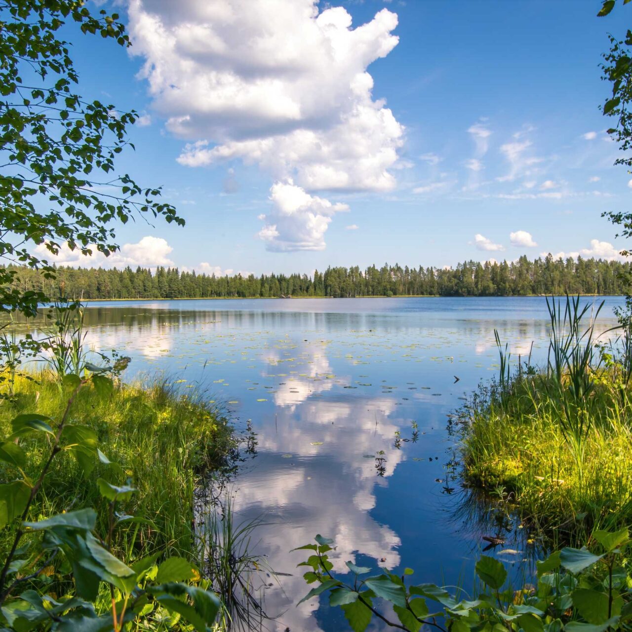 Summer shift, full lift! - Hacklin Hamiko