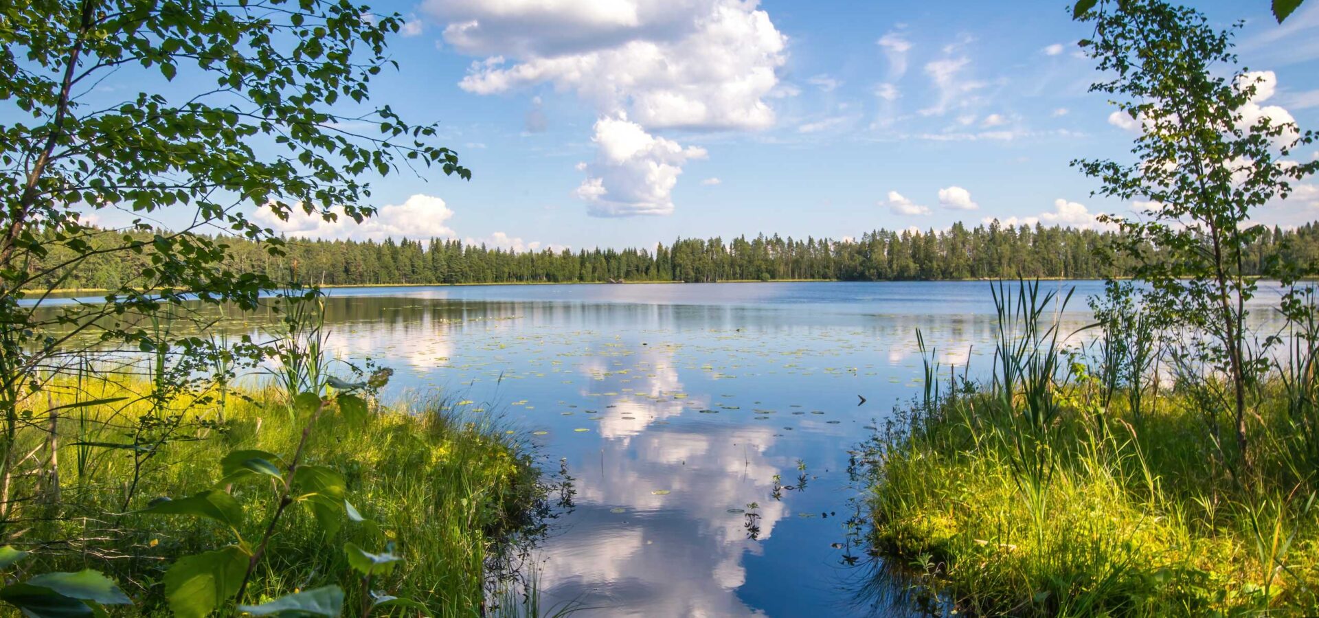 Midsummer Break - Hacklin Hamiko