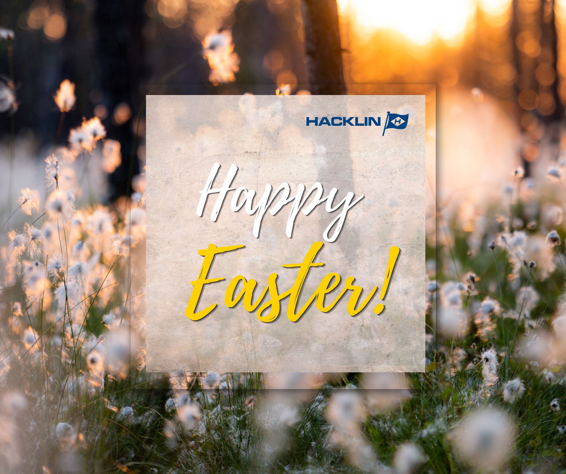 Office closed for Easter Weekend - Hacklin Hamiko